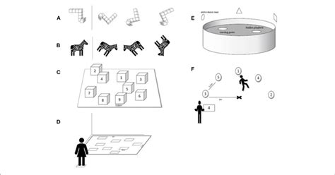 Illustrations Of The Main Outcome Measures Mental Rotation A Download Scientific Diagram