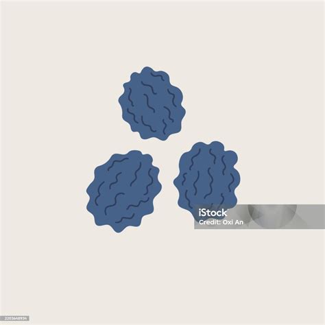 마른 매실 과일을 자두합니다 손으로 그린 음식 벡터 일러스트 레이 션 고립 된 흰색 배경에 말린 과일 동양 과자 Damson 건강 식품 인쇄 라벨 템플릿 로고 카드 사인을