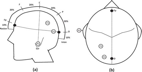 Figure 2 From Discrete Wavelet Transform And Anfis Classifier For Brain Machine Interface Based