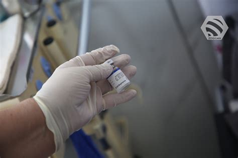 ВАКЦИНЫГ ТҮГЭЭМЭЛ ТАРХАХ МАГАДЛАЛТАЙ ВИРУСИЙН ХЭВ ШИНЖИД ТОХИРУУЛАН ГАРГАДАГ