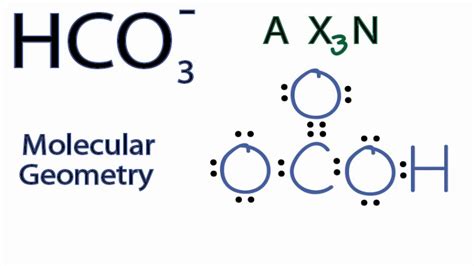 Bicarbonate Lewis Structure