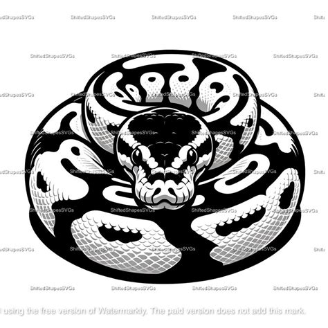 Ball Python Svg Bundle Etsy