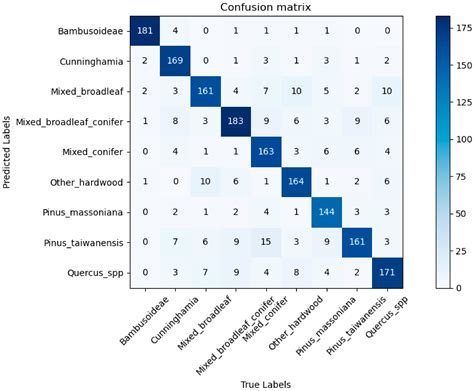 Sustainability Free Full Text Deep Learning In Forest Tree Species Classification Using