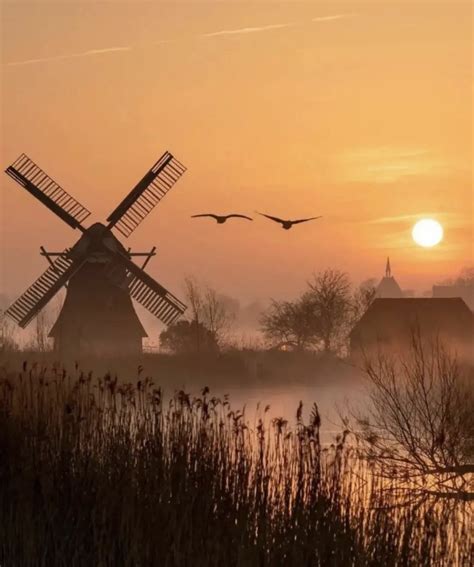 Sunset Windmill With Birds