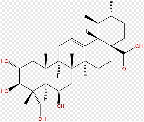 Ursolic Acid Triterpene 화합물 화학 아시아 페니 워트 각도 화이트 본문 Png Pngwing