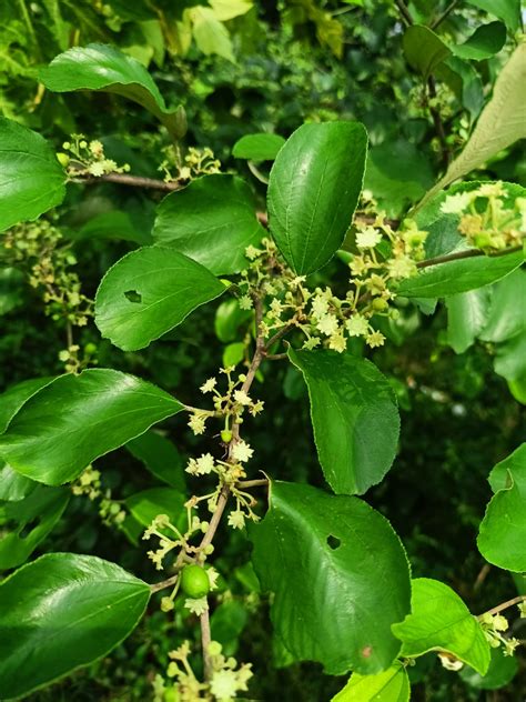 Object Detection Object Detection Ga8tf Roboflow Universe