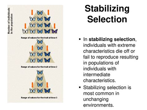 Evolution By Natural Selection Ppt Download