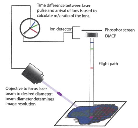 Schematic Diagram Of Mass Spectrometry Circuit Diagram