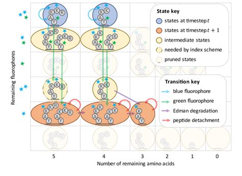Illustration Of Hmm Pruning Combined With Transition Matrix Factoring