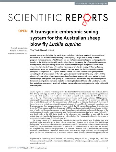 Pdf A Transgenic Embryonic Sexing System For The Australian Sheep Blow Fly Lucilia Cuprina