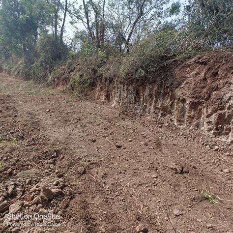 Vikas Prajapati On Linkedin Today Opening Of My Second 75 Mw Ground Mounted Solar Project In