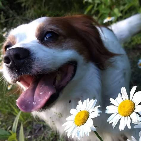 Ciara Collins Youtube