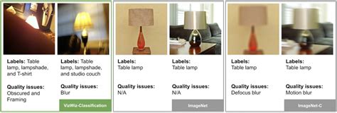 Zero Shot Image Classification Vizwiz