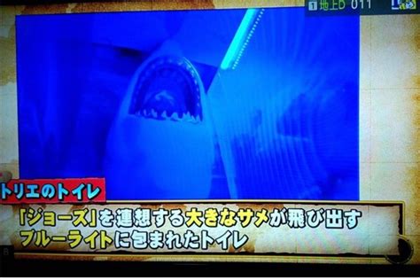 《海贼王》作者尾田荣一郎破例在节目《真的吗tv》中公开豪宅