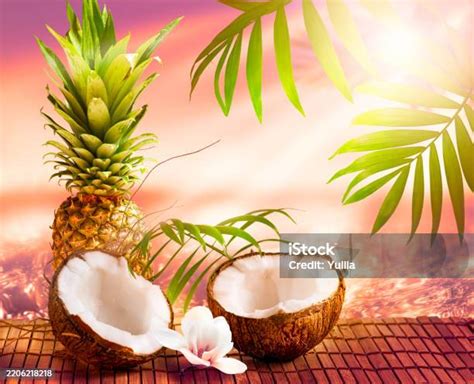 파인애플과 코코넛 바다 또는 바다 배경 야자수 잎 열대 낙원 일몰 풍경 여름 관광 여행 및 해변 휴가 0명에 대한 스톡 사진 및 기타 이미지 Istock
