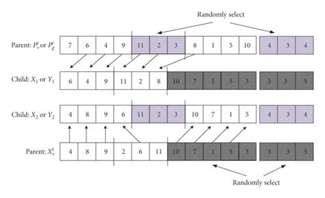 Crossover Operation Schematic Diagram Download Scientific Diagram