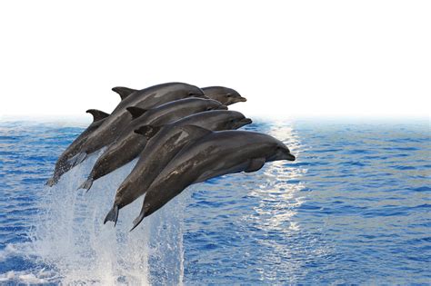 Cursor Implementation In Mysql For Sequential Data Processing