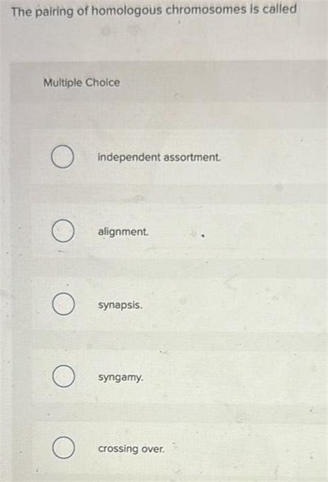 [answered] The Pairing Of Homologous Chromosomes Is Called Multiple Kunduz