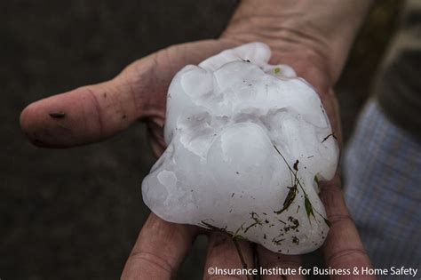 The Largest Hailstone Collected During The Ibhs Hail Field Study