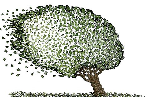 Tree In The Wind Frits Ahlefeldt Sketchbook Hiking Research