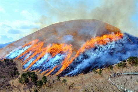 公式 伊豆 伊東 観光ガイド 伊東の観光旅行情報サイト