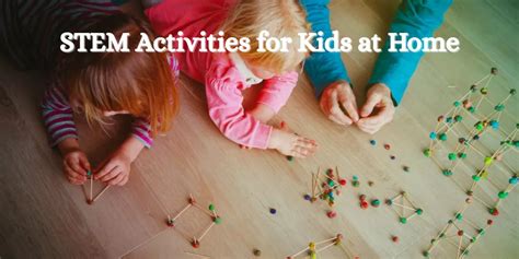 Human Brain Structure With Diagram And Functions