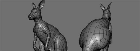 Kangaroo Female BaseMesh Topology FlippedNormals