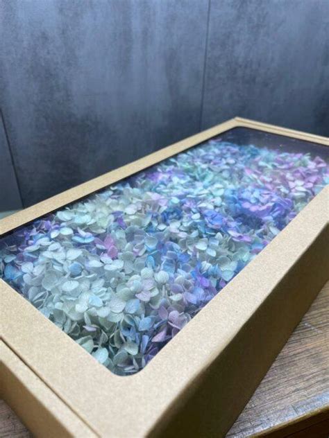 ᐉ Стабілізовані квіти в Києві купити в Епіцентр К • Ціна в Україні