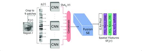 The Proposed Model For Spatial Features Extraction From The Left