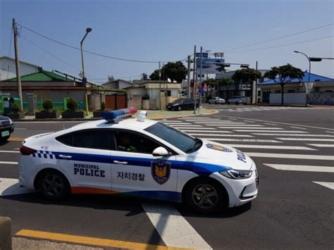 제주도에서만 볼수 있는 경찰차 인스티즈 Instiz 인티포털 카테고리