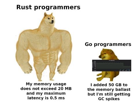 Memory Ballast R Rustjerk
