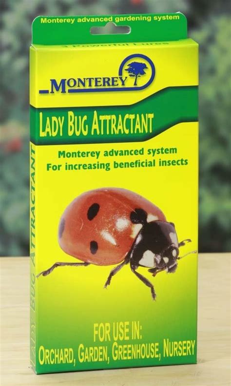 Monterey Lg8510 Lady Bug Lure Pack Of 3 Toys And Games