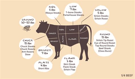Beef Butcher Yield At Edwin Frost Blog