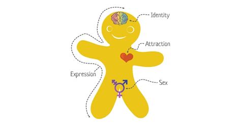 The Genderbread Person Hues