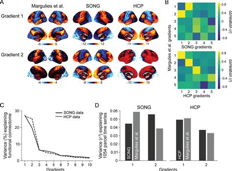 Figures And Data In Large Scale Neural Dynamics In A Shared Low