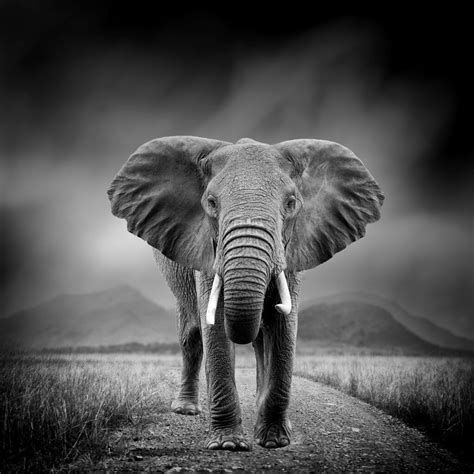 Understanding Queue Waits In Postgresql Causes And Solutions For Improved Performance