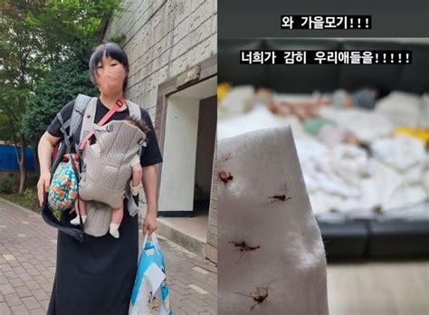 정주리 아들 넷 지키려는 엄마의 전쟁 너희가 감희 분노