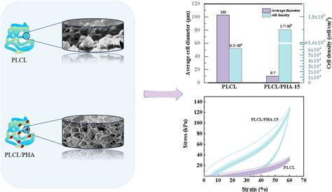 Improving Foaming Behavior Of Polyl‐lactide‐co‐ε‐caprolactone By