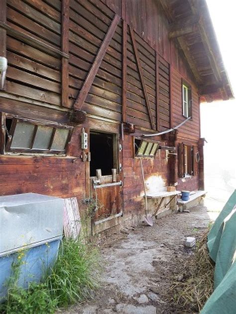 『生活の拠点は牛小屋』ユングフラウ周辺スイスの旅行記・ブログ By Yokoさん【フォートラベル】