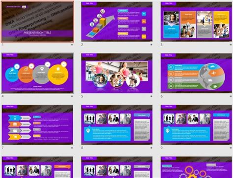 Dna Profiling Powerpoint