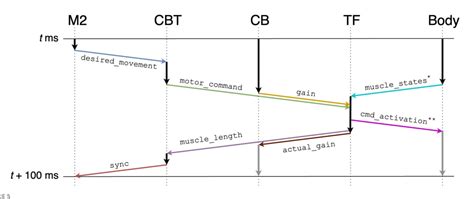 Figure 1 From Embodied Bidirectional Simulation Of A Spiking Cortico