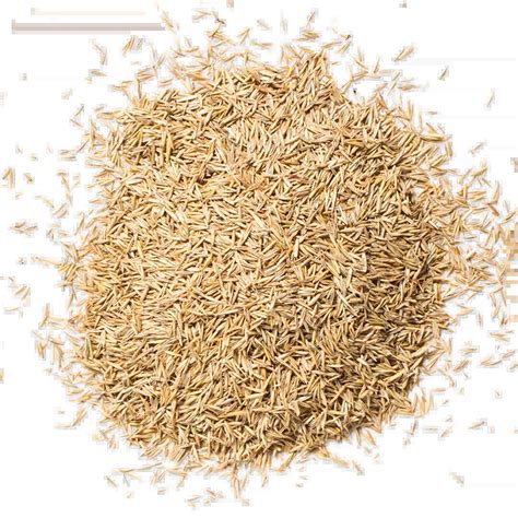 Grass Seed Archives Thunderstruck Ag