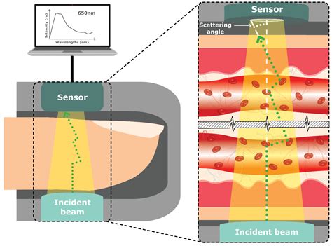 Non Invasive Glucose Sensing Technologies And Products A Comprehensive