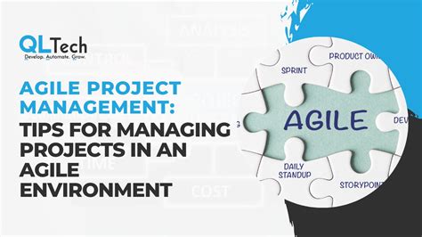 agile project management ql tech australia