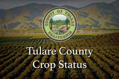Tulare County Reports On Current Crop Status California Ag Network