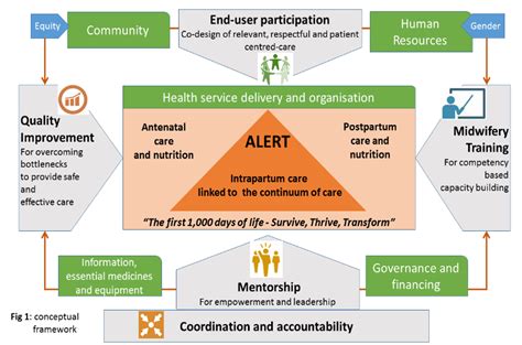 Alert Action Leveraging Evidence To Reduce Perinatal Mortality And