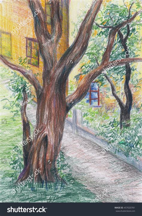 Tree Drawing Color Pencil