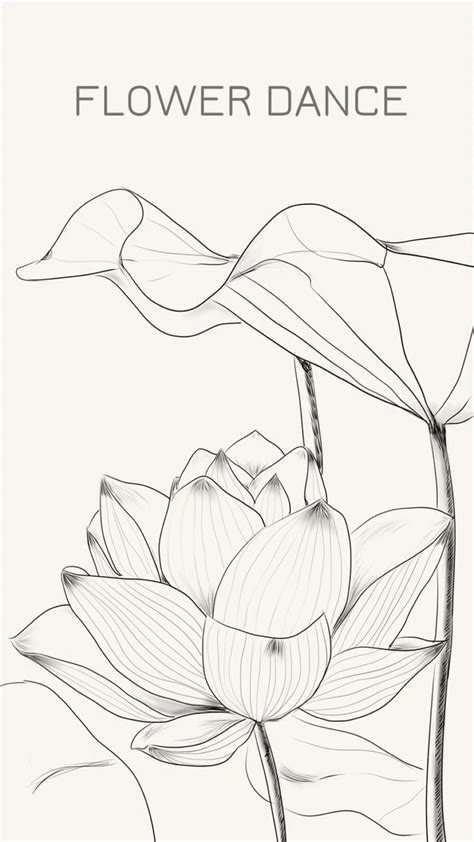 中國風 荷花 白描系列 古风插画 壁纸 堆糖美图壁纸兴趣社区