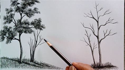 Easy Pencil Sketches Of Trees How To Draw Trees A Step By Step Guide