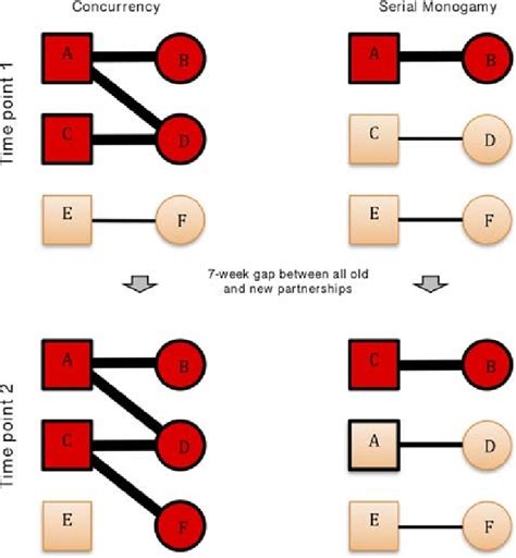 TV Is Able To Spread Further In A Sexual Network Characterized By Download Scientific Diagram
